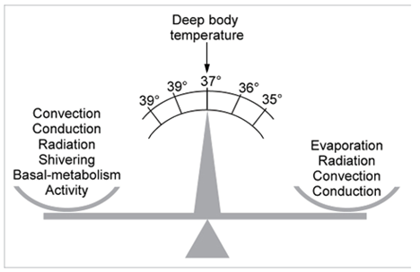 Human thermal comfort – NZEB Energy Rating